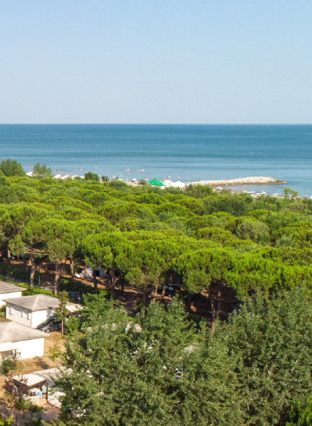 Ecocamping: what are they and why choose eco-friendly campsites ...